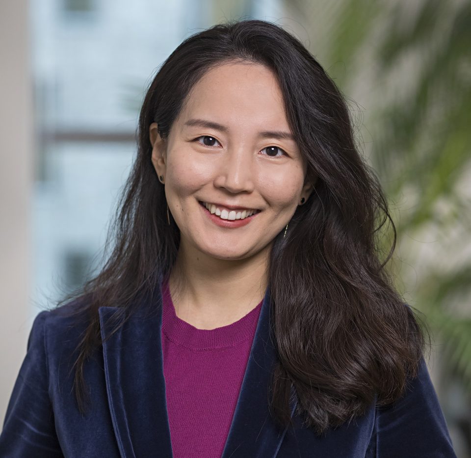 Ye Yu advocaat Asia desk - La Gro